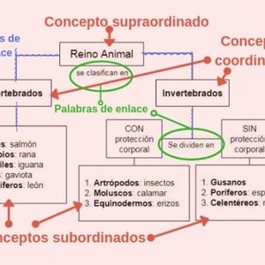 Significado de Mapa conceptual (Qué es, Concepto y Definición ...